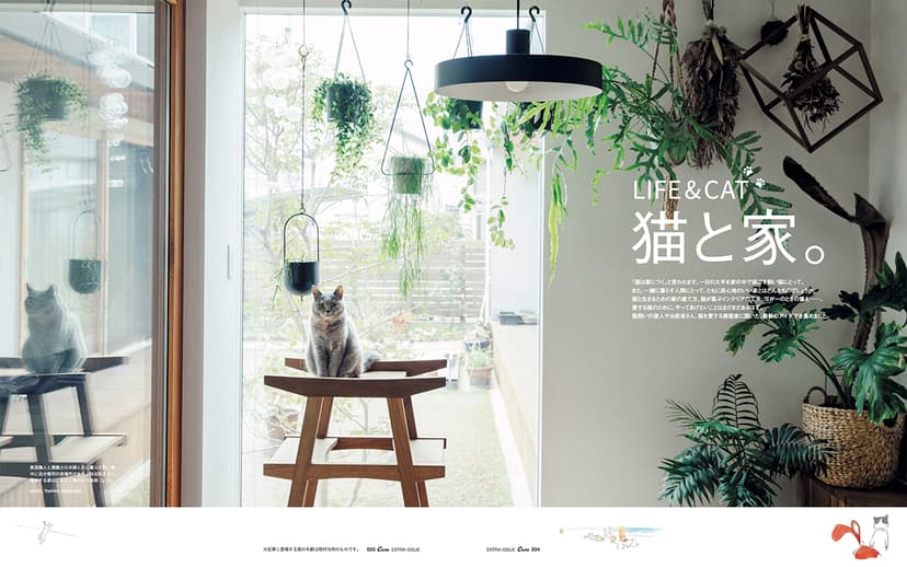 Casa BRUTUS特別編集『猫と家。』発売中！ | カーサ ブルータス Casa BRUTUS